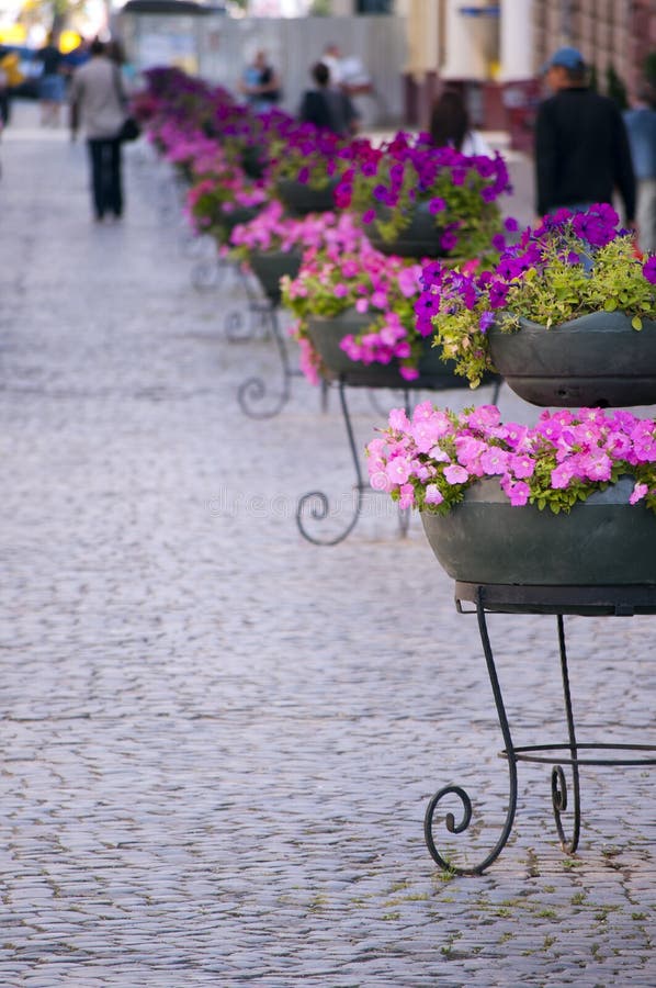 Main Street in Old Town Cobblestone and Flowers Stock Image - Image of ...