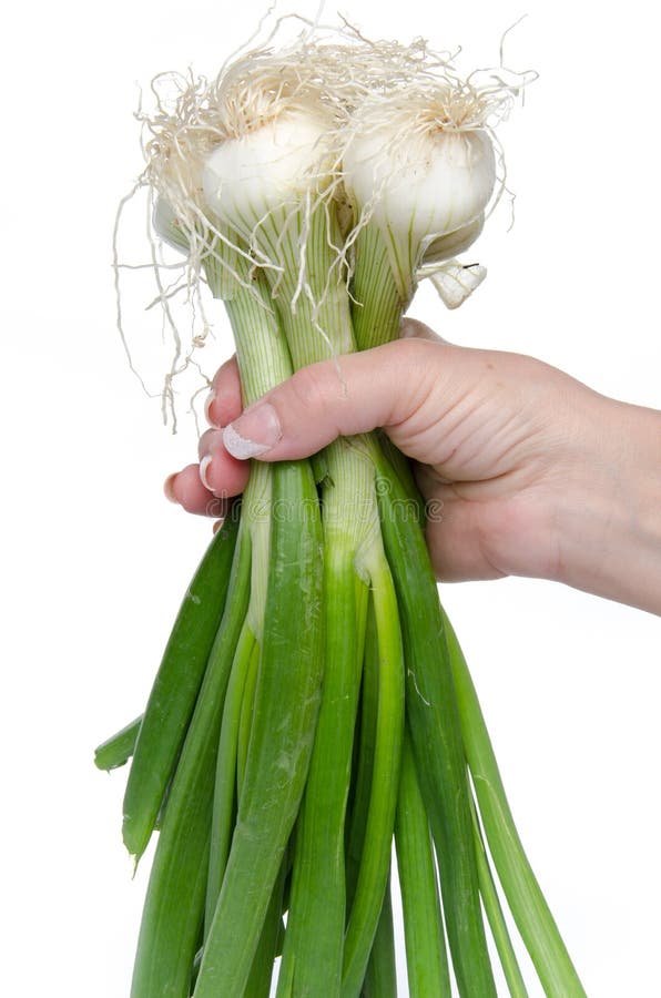 Oignons Blancs Avec Les Tiges Vertes Photo stock - Image du oignons ...