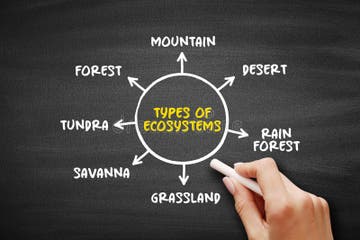 Ecosystems Text Stock Illustrations – 133 Ecosystems Text Stock ...