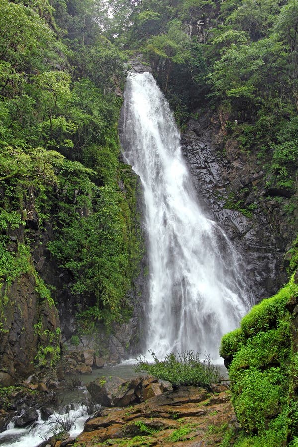Mainapi Waterfall Goa Stock Photos - Free & Royalty-Free Stock Photos ...