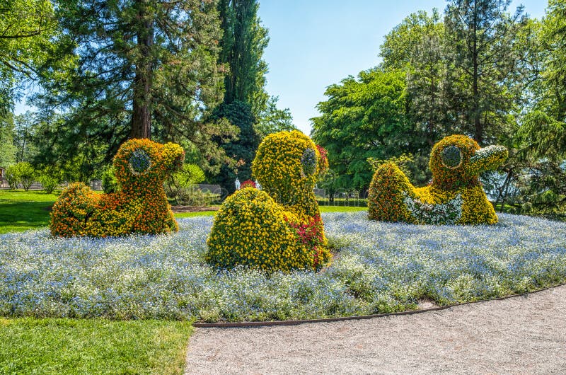 Mainau, Il Lago Di Costanza Immagine Stock Editoriale - Immagine di ...