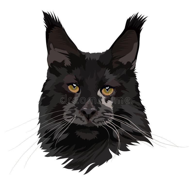 Maine Coon Black Cat. Head Vector Illustration Stock Vector ...