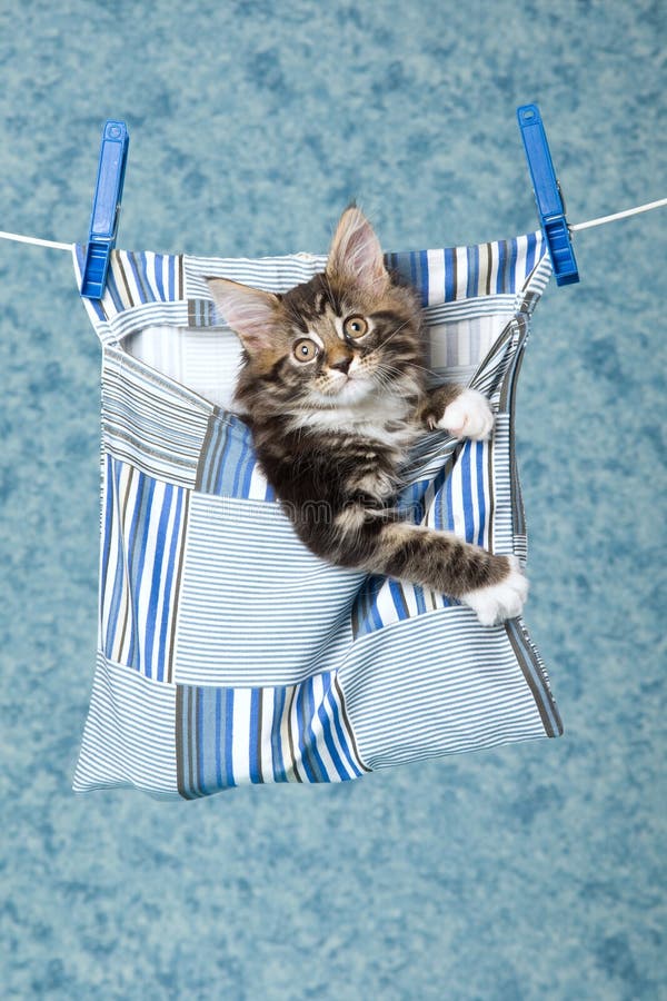 145 Clothes Line Kit Stock Photos - Free & Royalty-Free Stock Photos ...