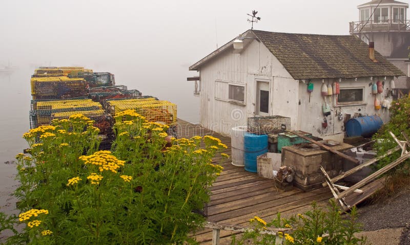 Maine Fishing Shack and Dock Stock Image - Image of misty, messy: 5879383