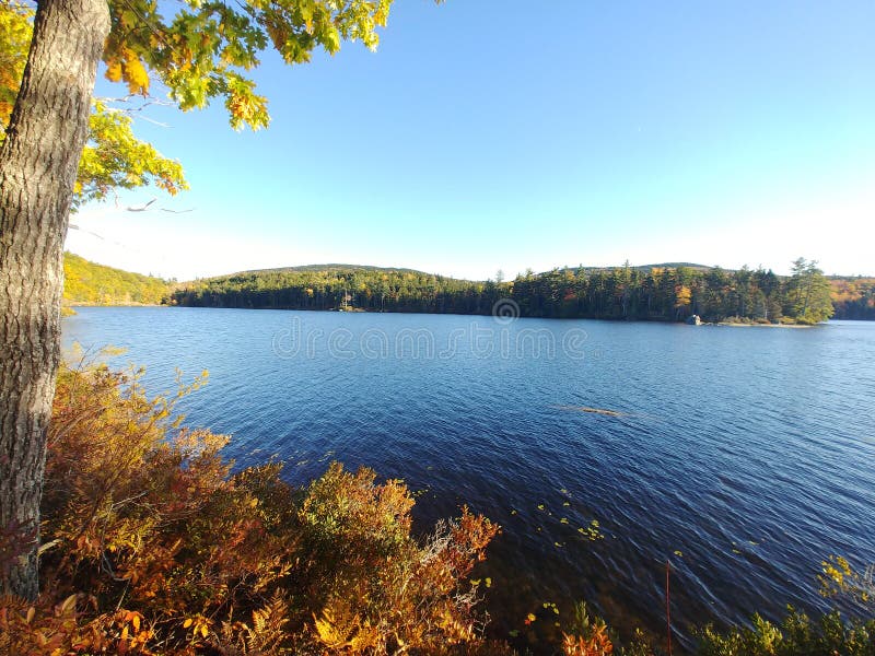 Maine lake stock photo. Image of lake, pretty, scenery - 135221548