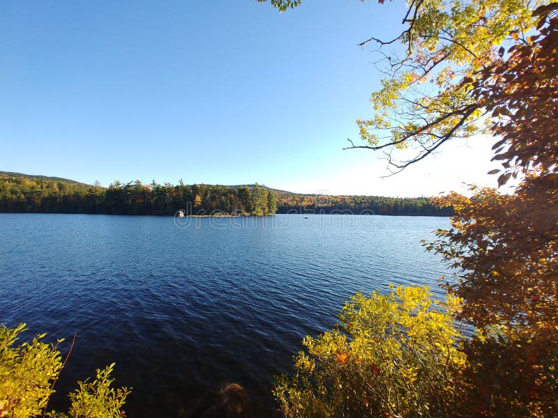 Maine lake stock image. Image of water, pretty, maine - 135221631