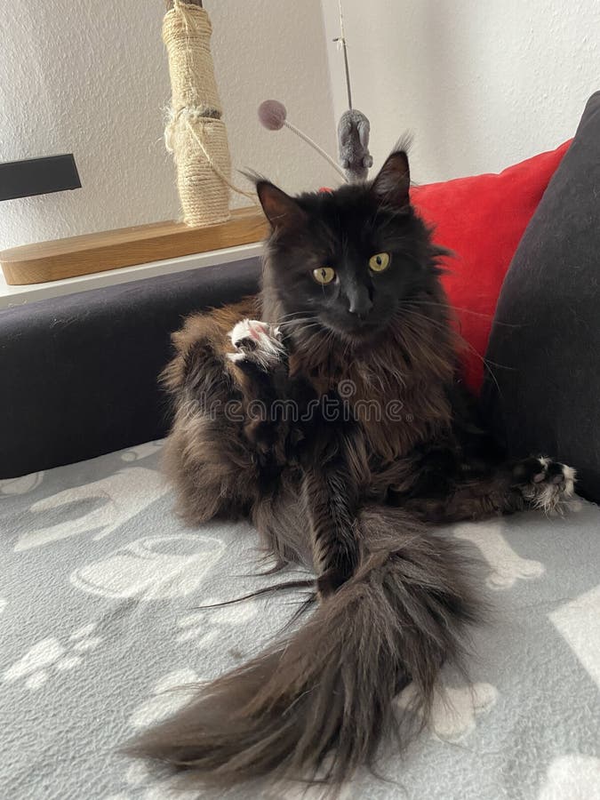 Puzzled in action stock image. Image of confused, action - 289942207