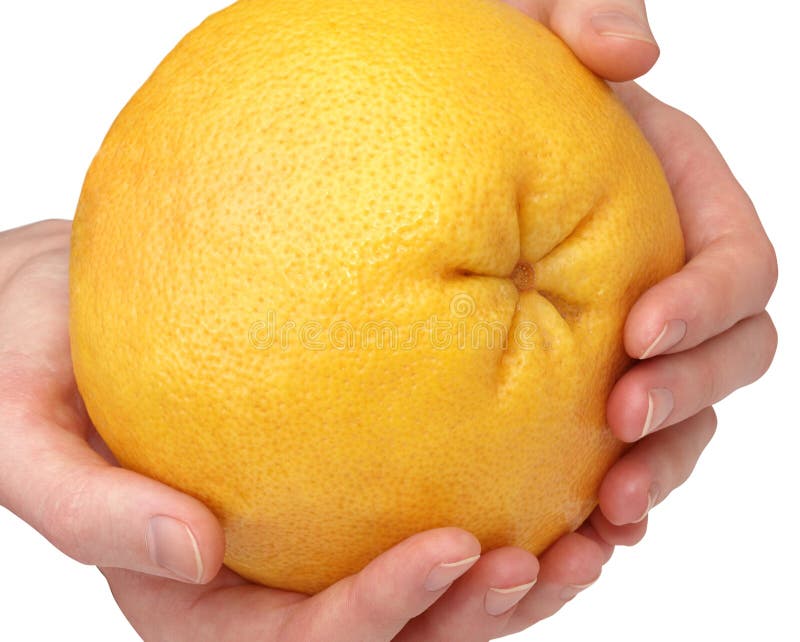 Arbre de pamplemousse photo stock. Image du jaune, verger - 7637268