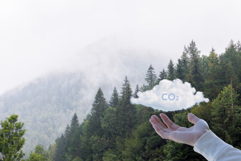 Maintaining the Purity of Oxygen from the Content of CO2 Stock ...