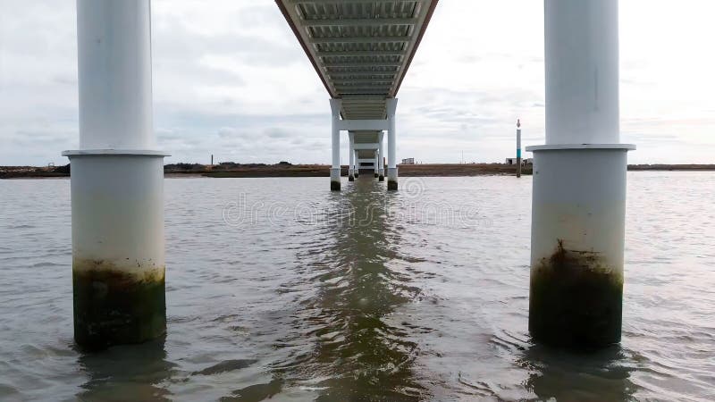 Maintenance of Bridge Piles in Rivers Stock Image - Image of underwater ...