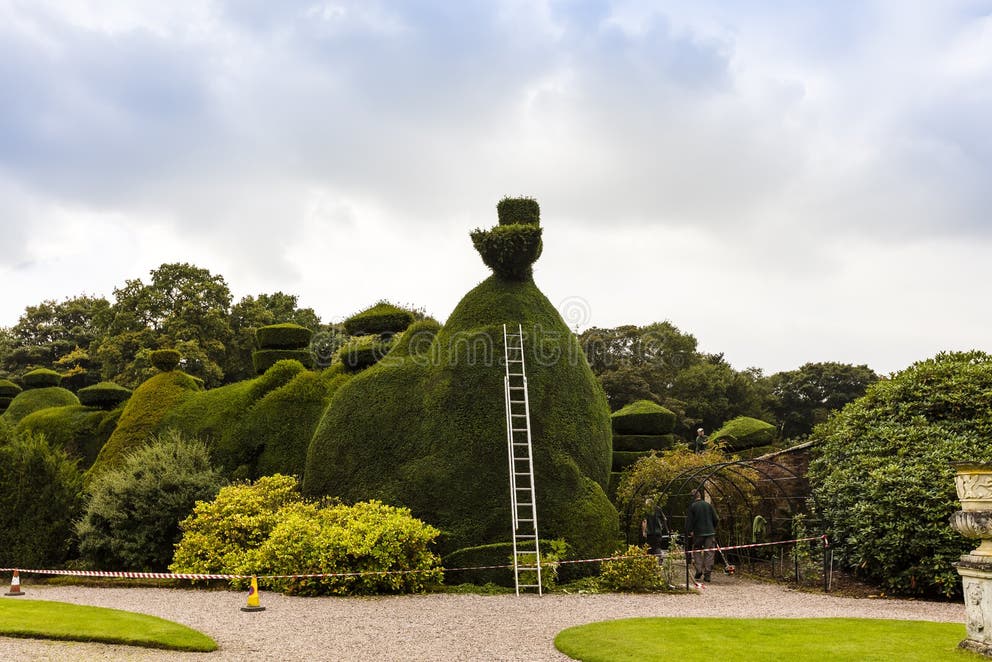 Topiary care. stock image. Image of progress, high, natural - 101714051
