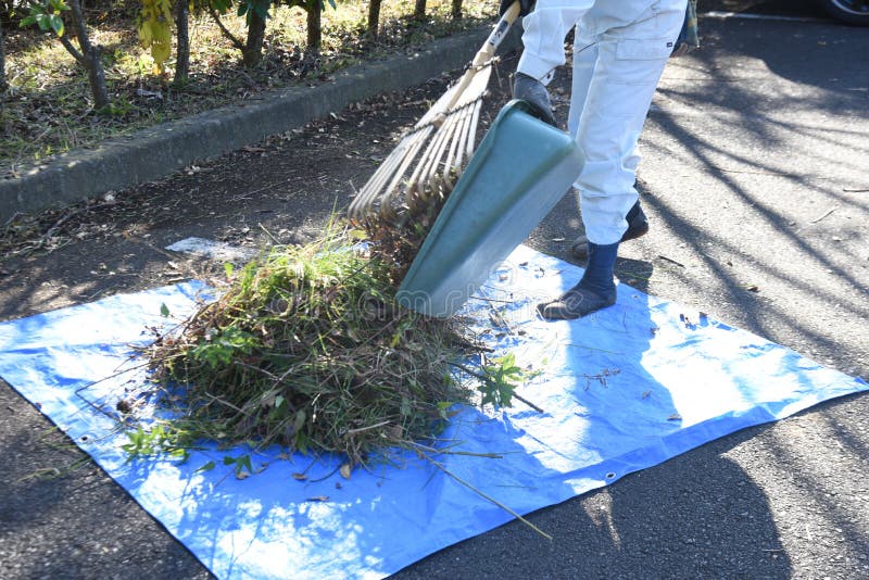 Maintenance Work in the Park. Stock Image - Image of mower, park: 233654099