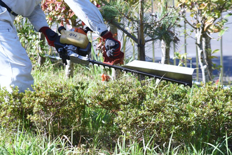Maintenance Work in the Park. Stock Image - Image of mower, park: 233654099
