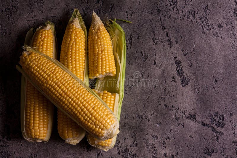 Mais immagine stock. Immagine di background, mais, messicano - 102415071