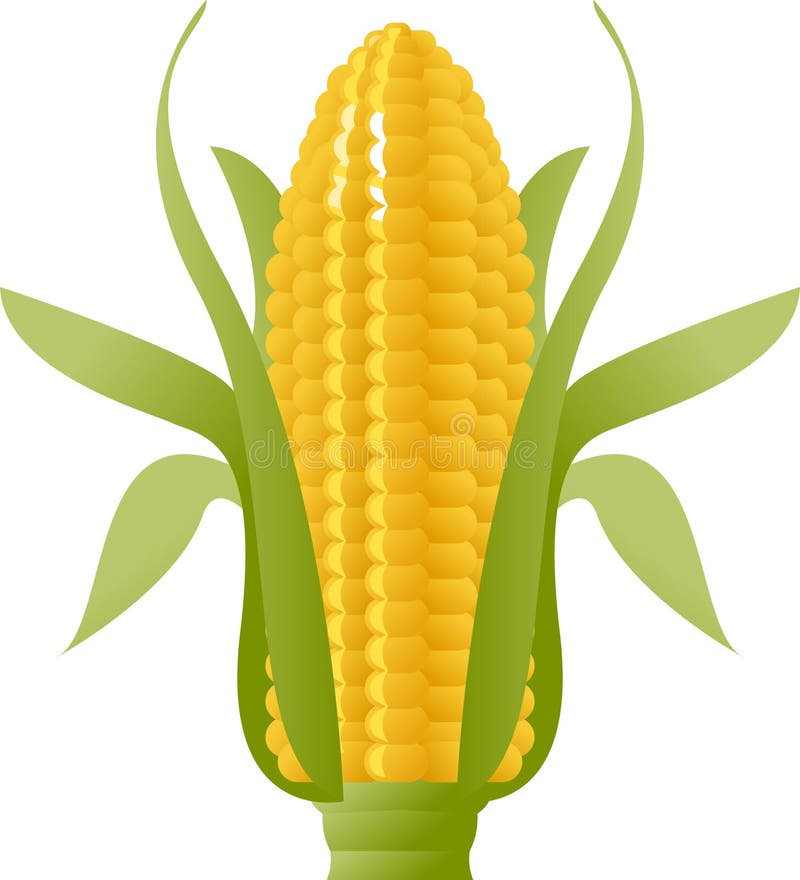Mais Stock Illustrationen, Vektoren, & Kliparts - 85,774 Stock ...