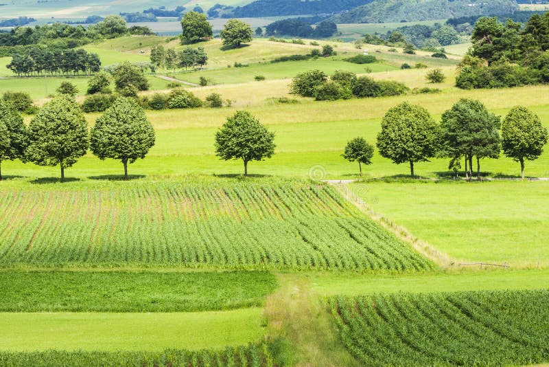 336 Akker Stock Photos - Free & Royalty-Free Stock Photos from Dreamstime