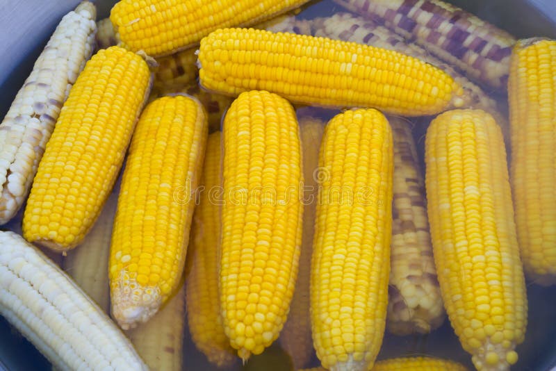 Mais, der im Topf kocht stockfoto. Bild von butter, sonderkommando ...