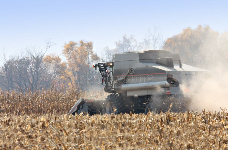 Mais-Ernte stockfoto. Bild von herbst, nahrung, korn, staub - 6965220