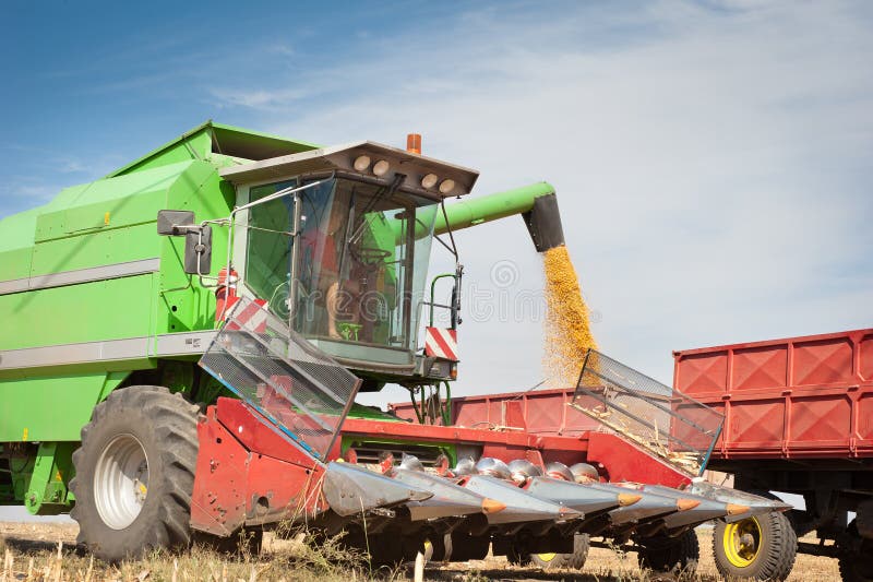 Maisernte stockbild. Bild von antreiben, sammeln, ernten - 26581279