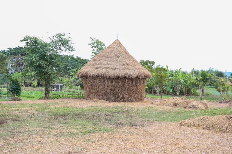 Maison De Paille, Hutte De Village Photo stock - Image du pays, local ...