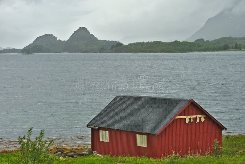 Maison Rouge En Bois Traditionnelle De Rorbu Photo stock - Image du ...