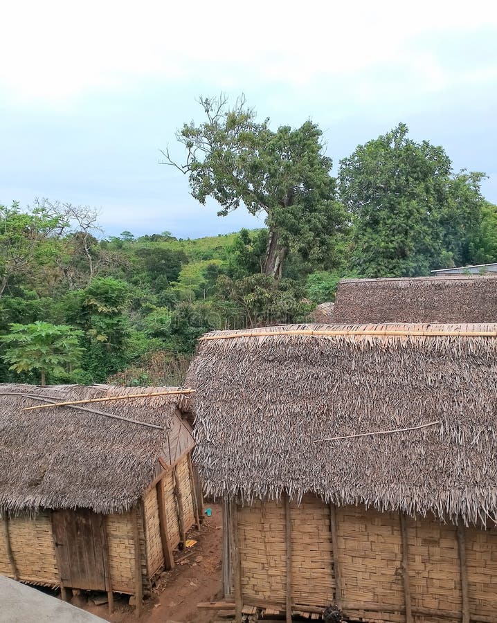 Traditional Malagasy Housse in the Eastern Part Stock Photo - Image of ...