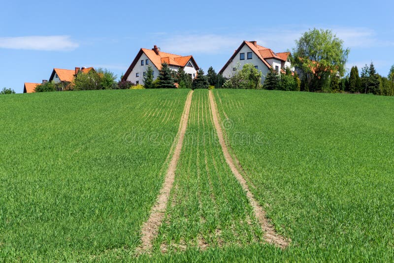 Maisons Rouges De Toit Sur Une Colline Verte Image stock - Image du ...
