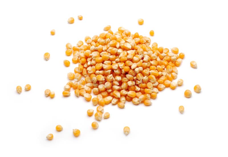 Maize stock image. Image of organic, corn, kernel, ingredient - 15487643