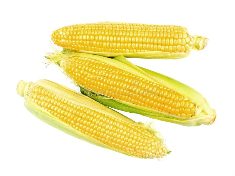 Maize stock photo. Image of butter, food, husk, kernels - 2856388