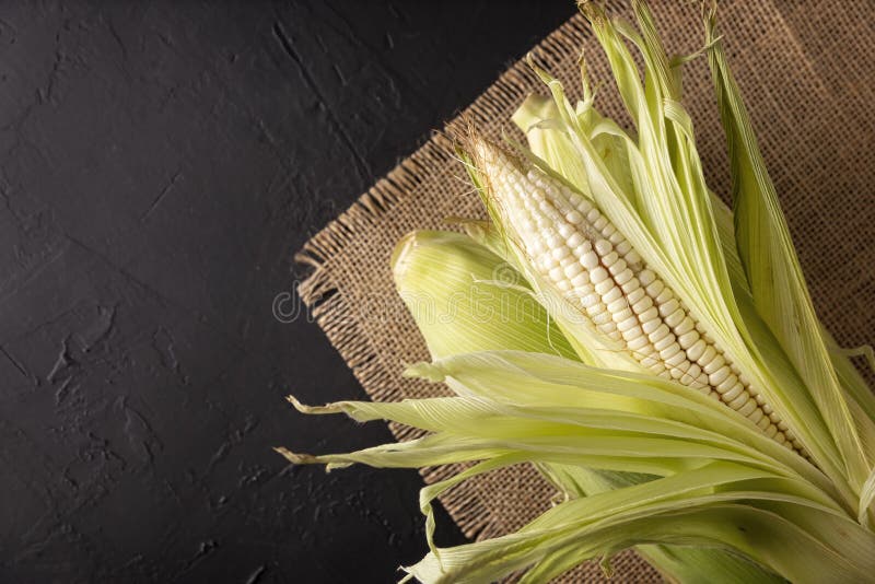 Maize background stock image. Image of closeup, corncob - 240576093