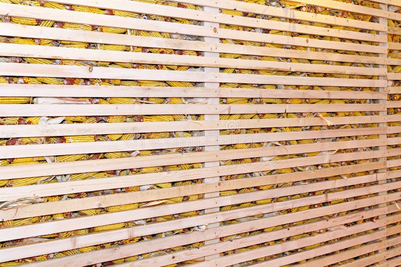 Maize barn stock photo. Image of wood, corn, farm, timber - 37676436