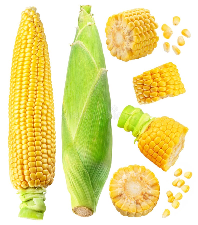 Maize Cob or Corn Cob and Corn Seeds Close Up. File Contains Clipping ...