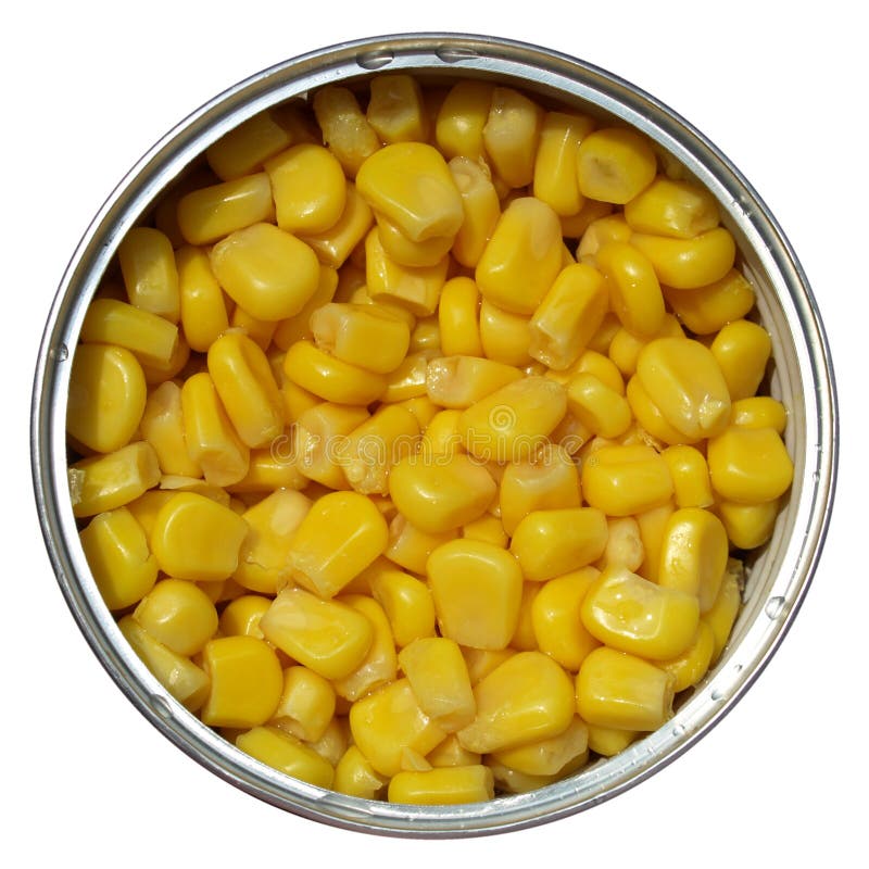 Maize corn stock photo. Image of maize, modified, isolated - 6353162