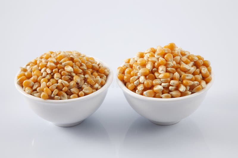 Maize corn stock image. Image of healthy, agriculture - 63906549