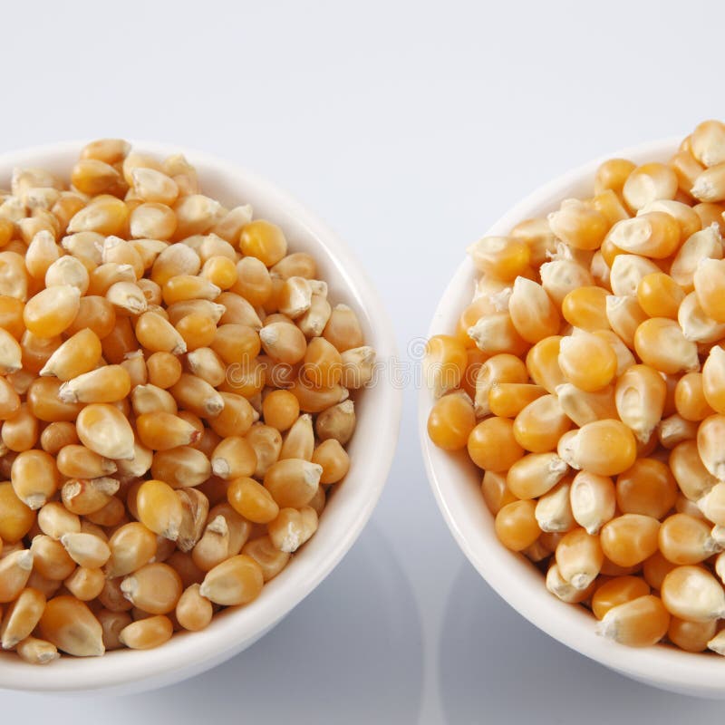 Maize corn stock photo. Image of nutrition, detail, sweet - 63906552