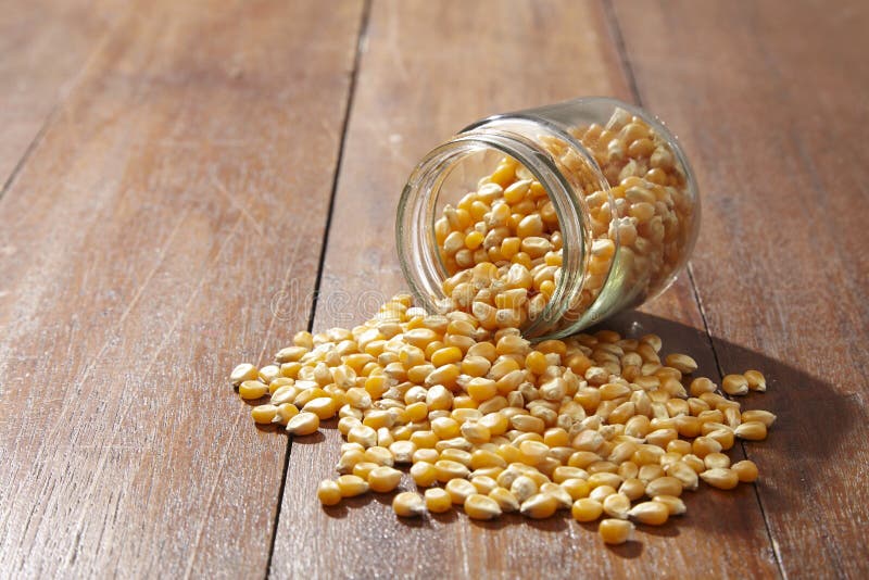 Maize corn stock photo. Image of corn, farm, texture - 63824790