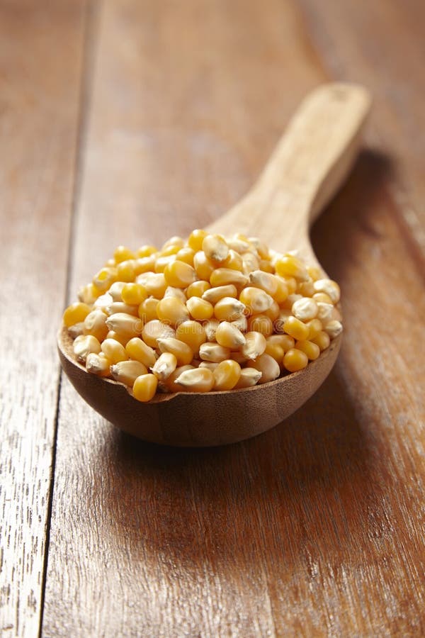 Maize corn stock image. Image of detail, ingredient, harvest - 63823973