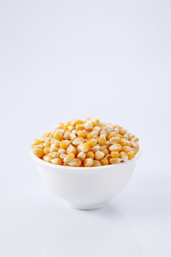 Maize corn stock image. Image of natural, nature, maize - 63906599