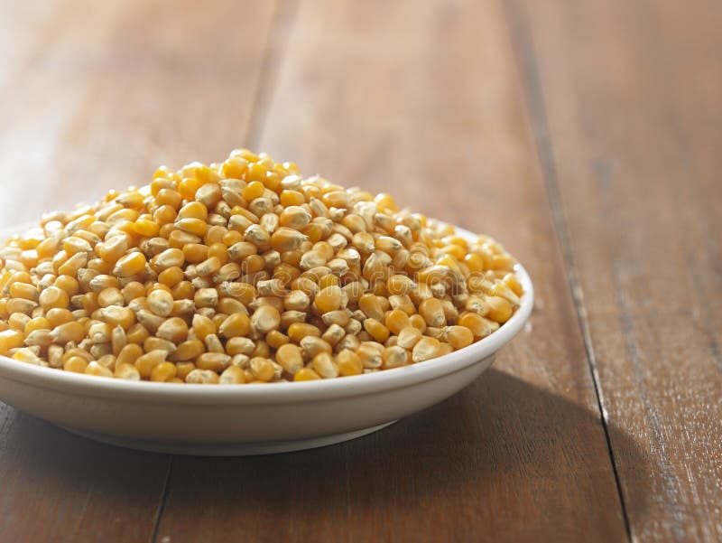 Maize corn stock image. Image of food, healthy, organic - 63823855