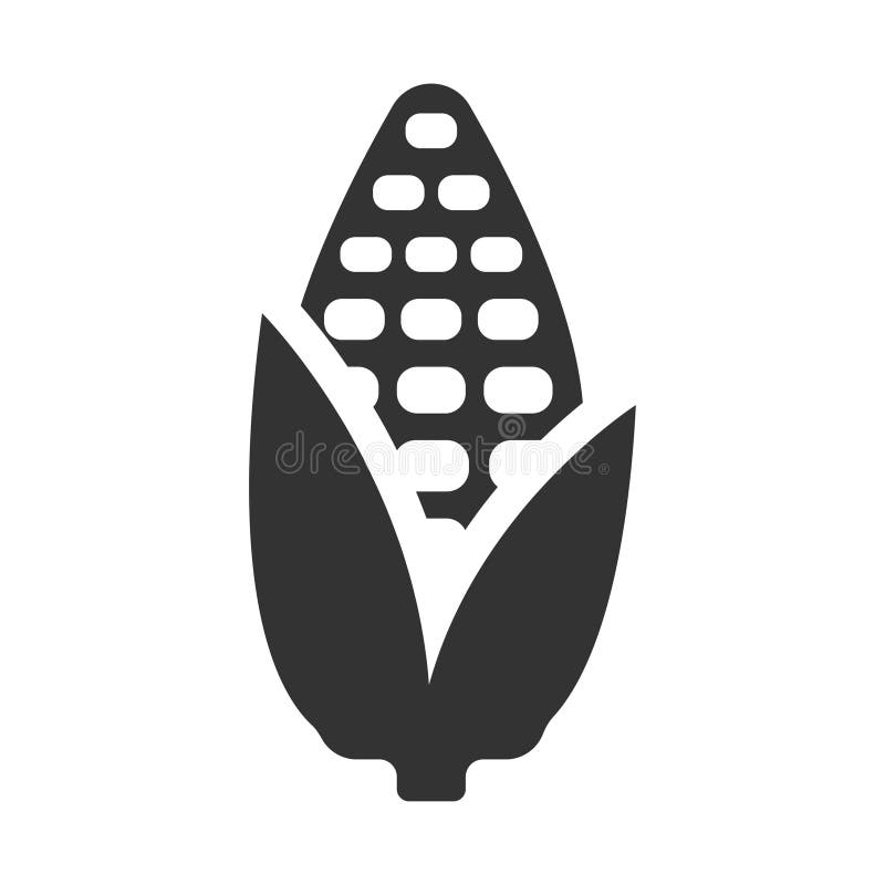 Maize Icon stock vector. Illustration of food, icon - 296170969