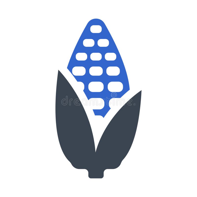 Maize Icon stock vector. Illustration of cooking, symbol - 296171155