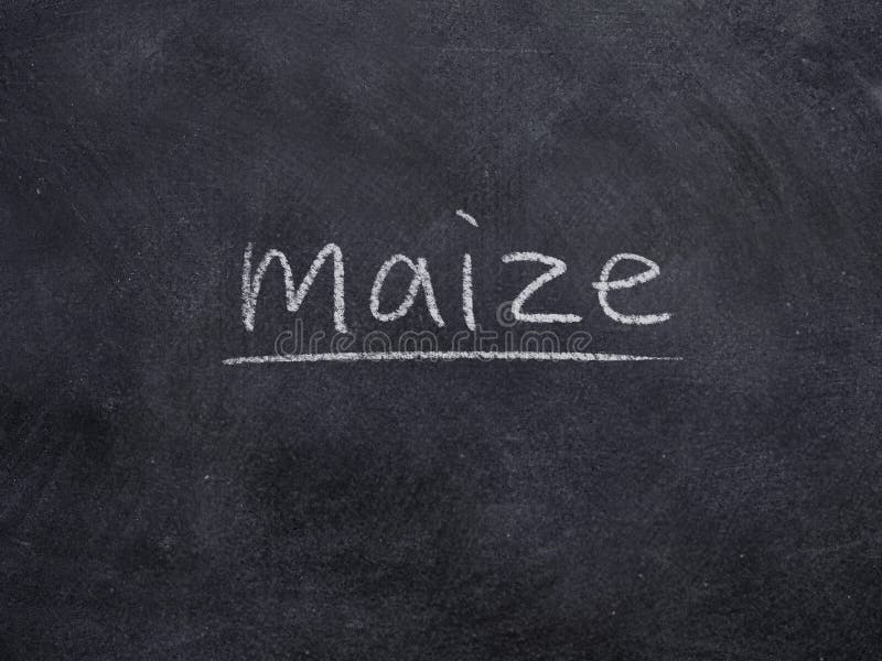 173 Maize Word Stock Photos - Free & Royalty-Free Stock Photos from ...
