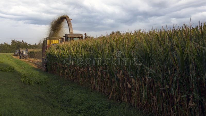 Farmer Loading Corn Silo Stock Photos - Free & Royalty-Free Stock ...