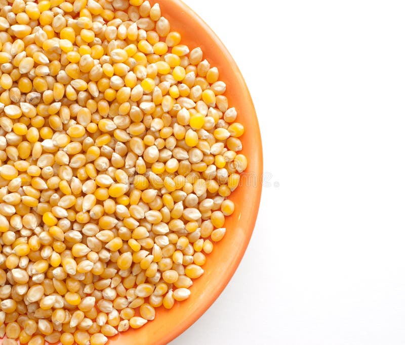 Maize stock image. Image of energy, farming, nutritious - 36777807