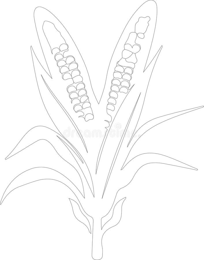 Maize Outline Silhouette Generative Ai Stock Vector - Illustration of ...