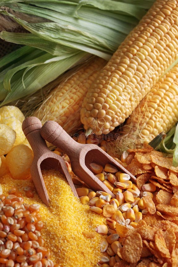 Maize products stock photo. Image of ingredients, organic - 20601248