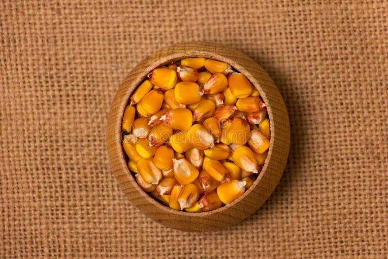 Maize seeds stock image. Image of green, kidney, lentil - 63538265