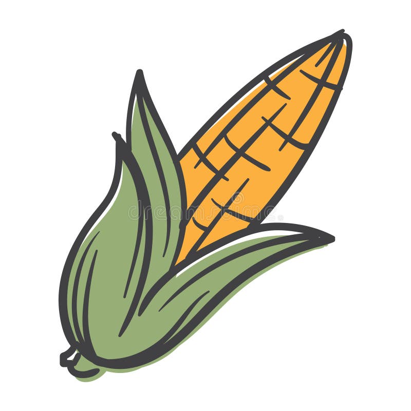 Maize. a Simple Hand-drawn Icon with an Offset Outline Stock Vector ...