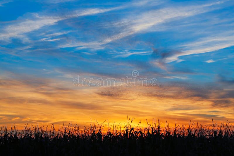 Midwestern Sunset Sky stock image. Image of stunning - 41124767