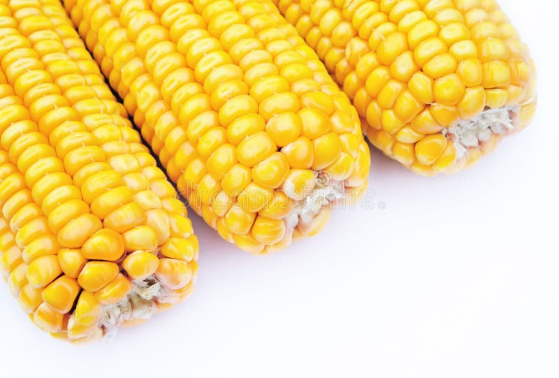 Maize on white background stock image. Image of niblet - 16789067